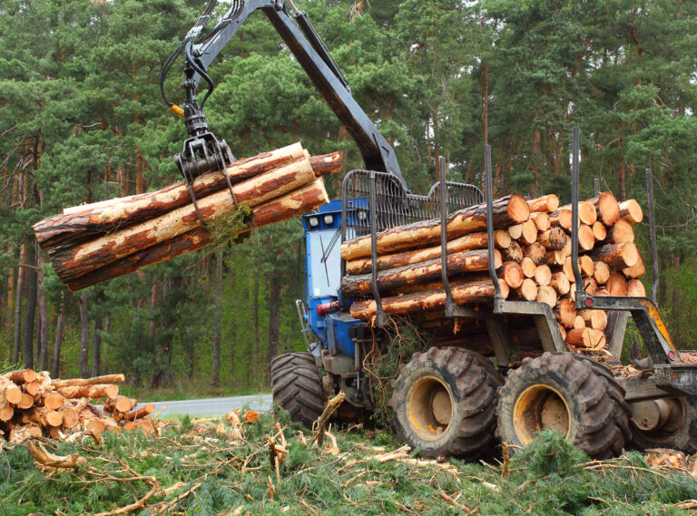 What Is Loggers Broad Form Insurance? - Cochrane & Company